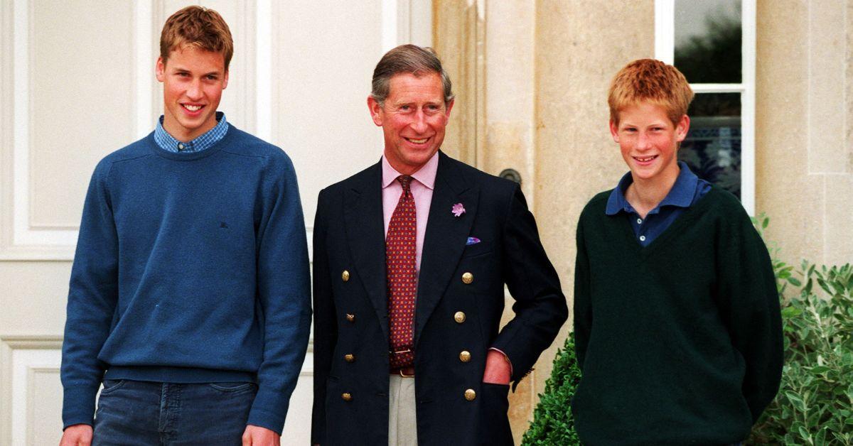 Prince Harry Copes With 'Jealousy' Over Prince William In 'The Crown ...