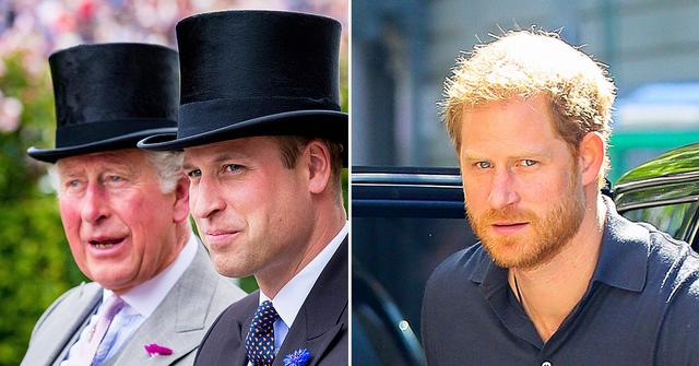 William & Charles Told Harry He Was 'Overreacting' About Alleged Racist ...