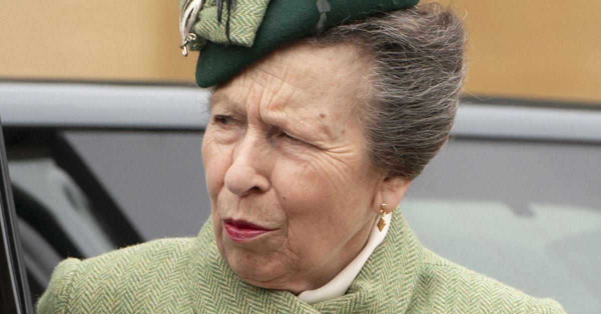 Princess Anne's Work Ethic & Positive Attitude 'Saved' The Monarchy ...