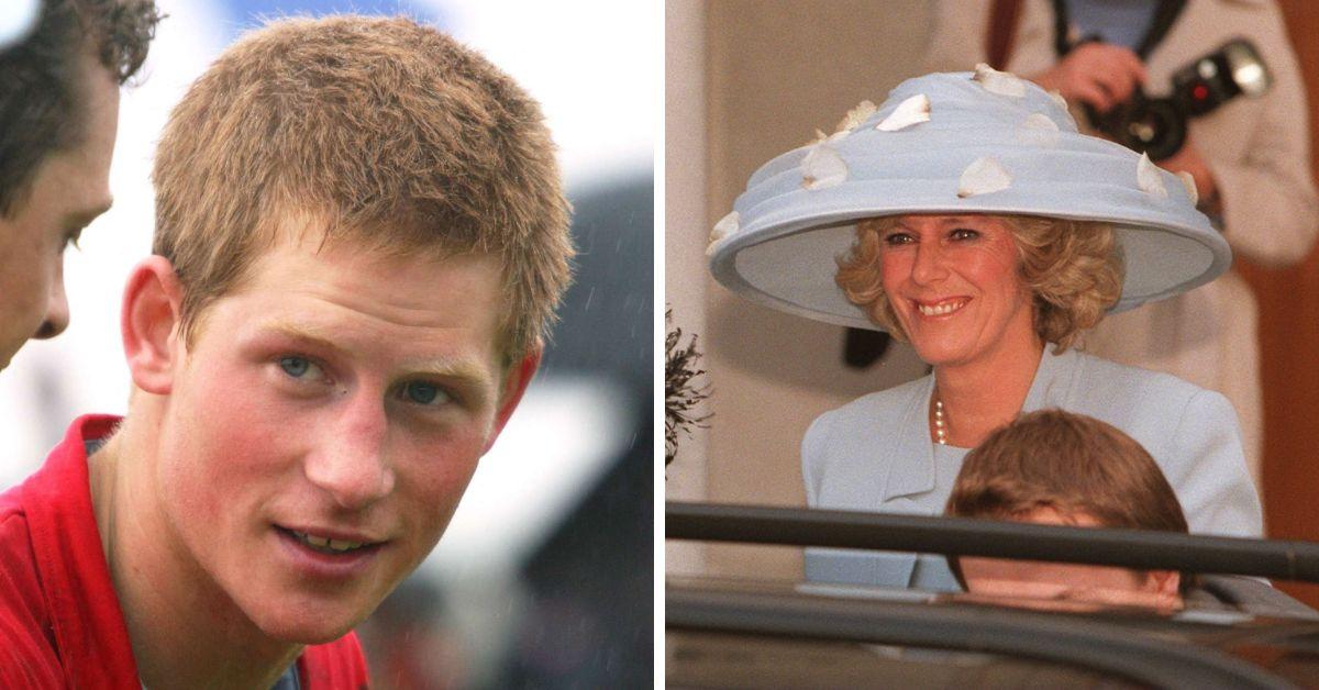 King Charles Accused Of 'Sacrificing' Prince Harry To Help Camilla ...