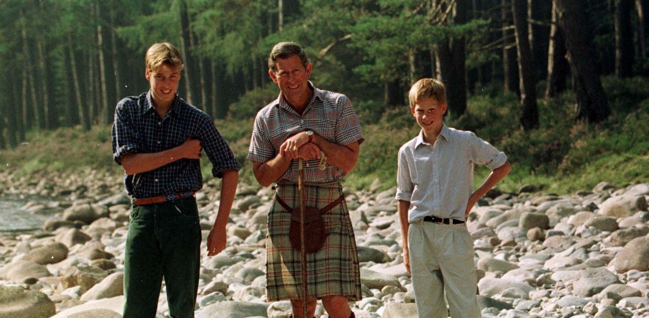 King Charles Reveals If Prince Harry Could Return To Monarchy One Day ...