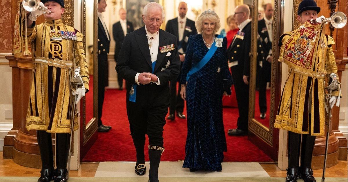 King Charles 'Nonsense' Portrait Scheme Not Popular With British Public