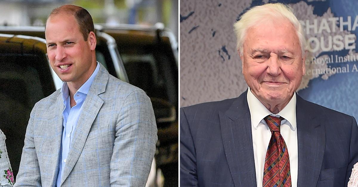 Prince William & David Attenborough Team Up For Earthshot Prize ...