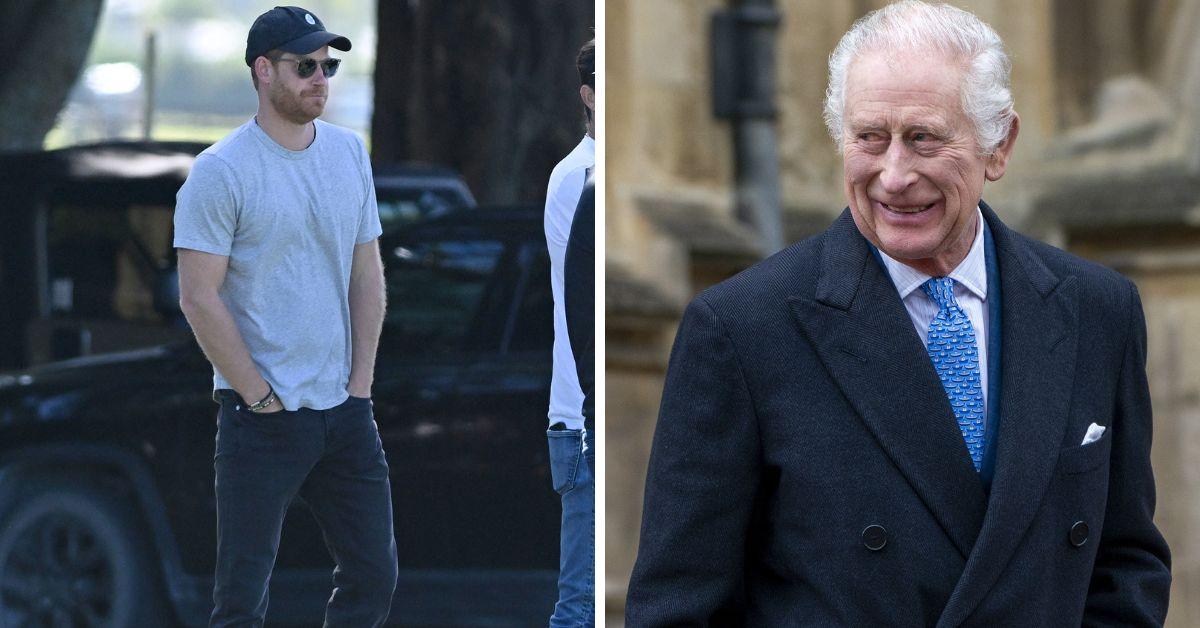 Prince Harry's Grievances With Family Made Him A Royal Outsider - The ...