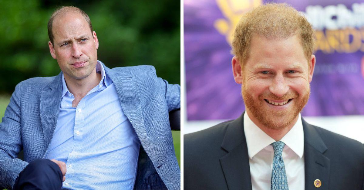 Prince William's Future Plans Are 'Very Different' From Prince Harry's ...