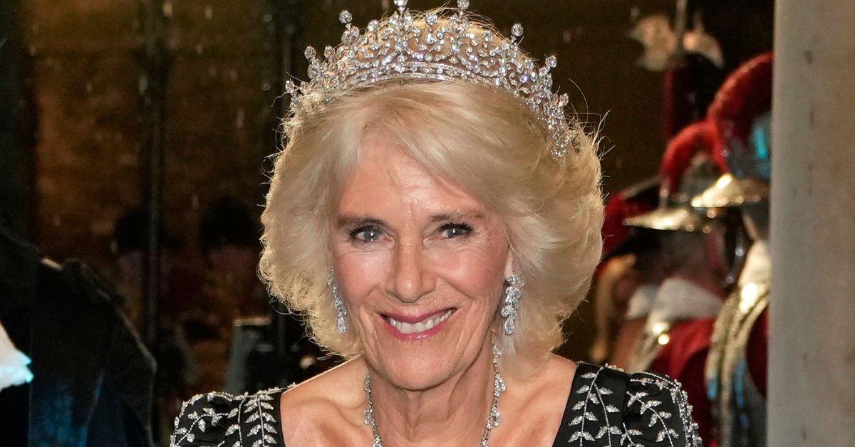 Queen Camilla Takes Over 'Duties' For King Charles As William Steps Up ...