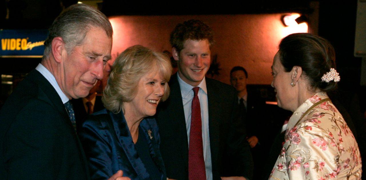 Queen Camilla Hurt By Prince Harry Painting Her As 'The Villain' - The ...