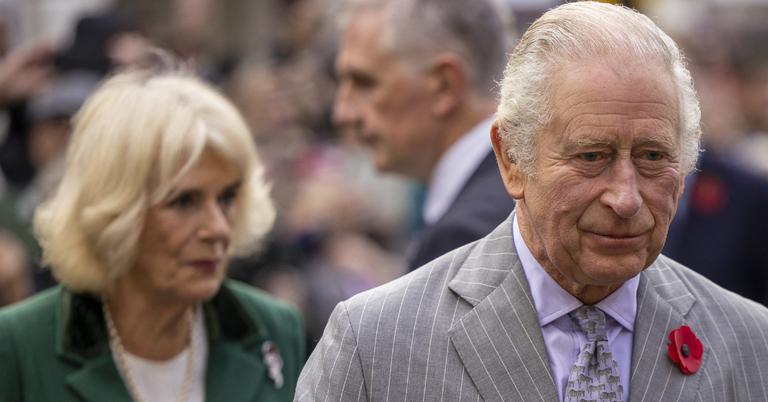 King Charles, Camilla Hit With Eggs By Protestor In York - The Royal ...