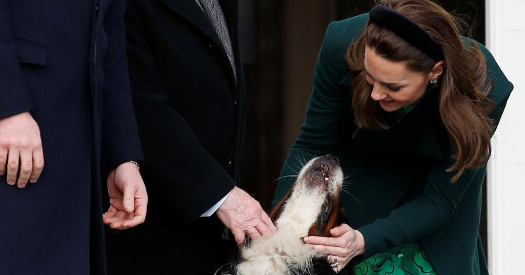 Why The Royal Family Always Has Dogs