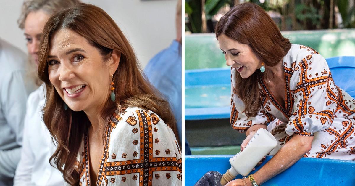 Queen Mary Of Denmark Enjoys Brazilian Tour Without King Frederik X ...