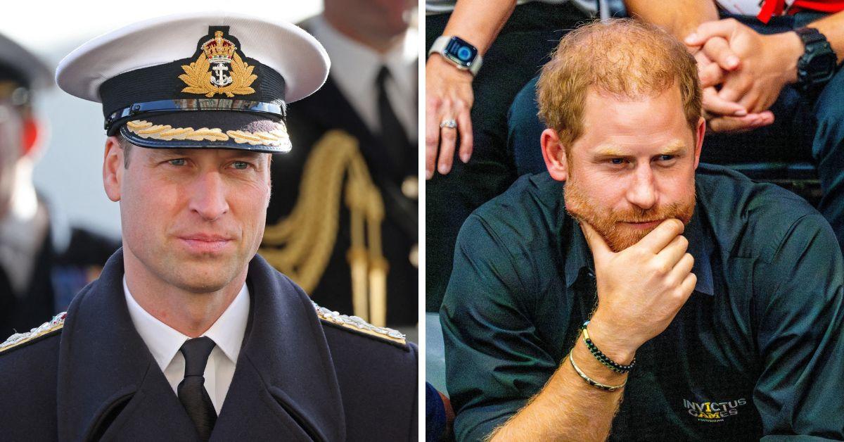 Prince William's Message To Prince Harry Was 'Cold' And To The Point ...