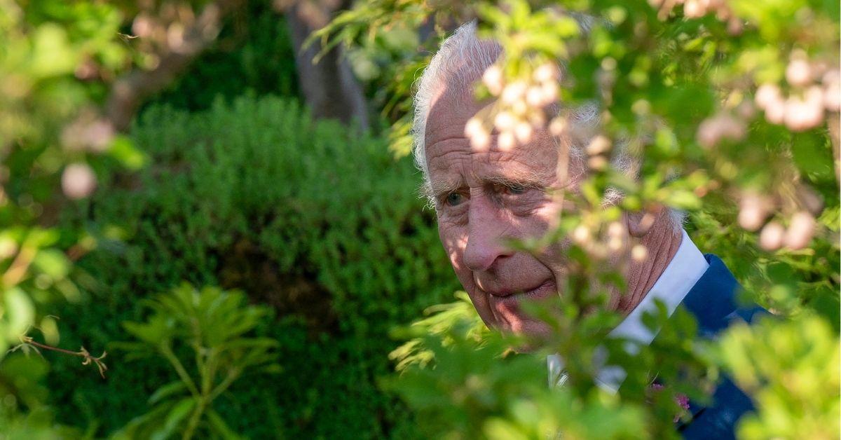 King Charles Has 'No Regrets' About His Royal Duty But Misses Gardening ...
